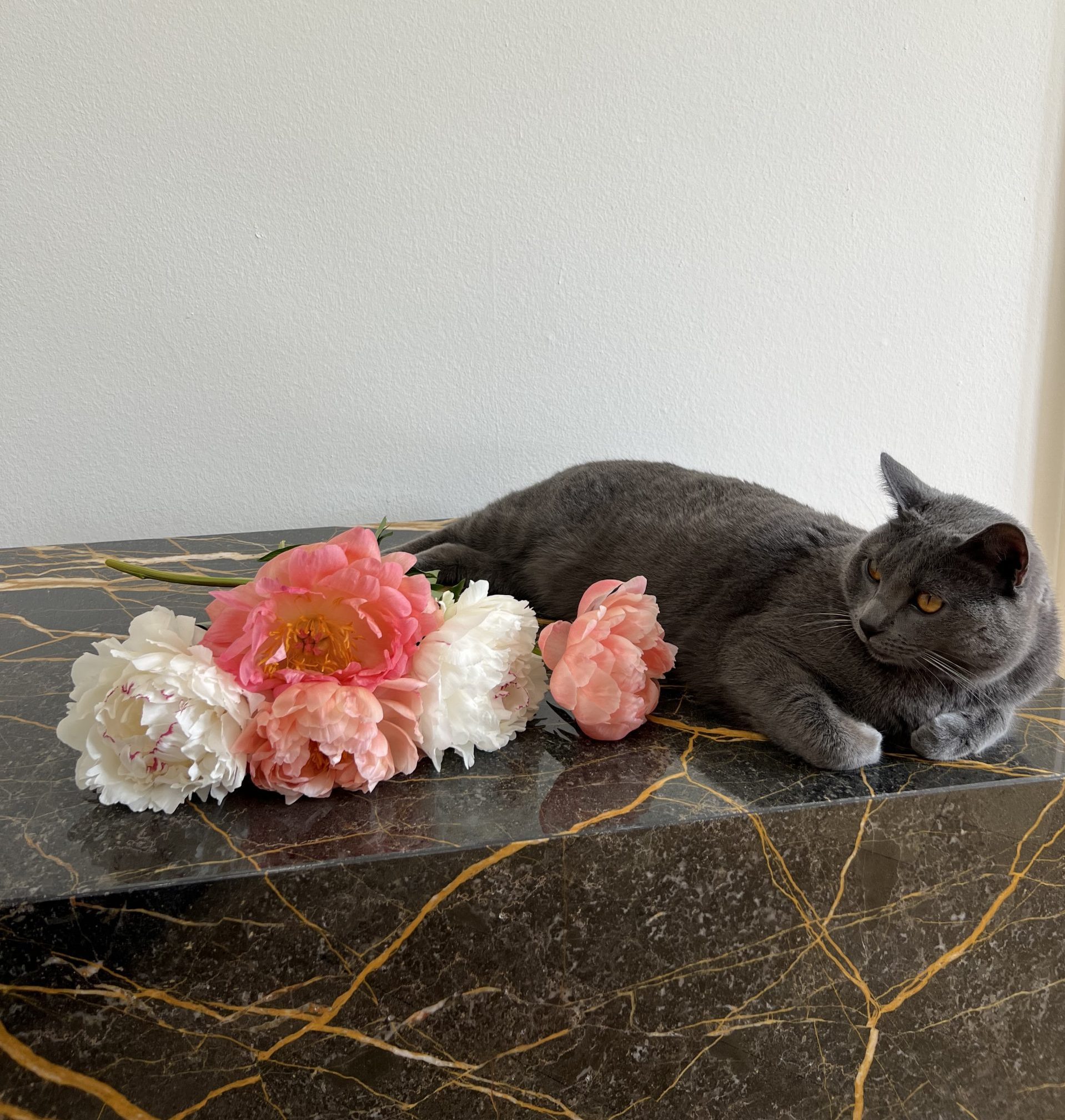 Choosing and protecting marble surfaces - marble maintenance